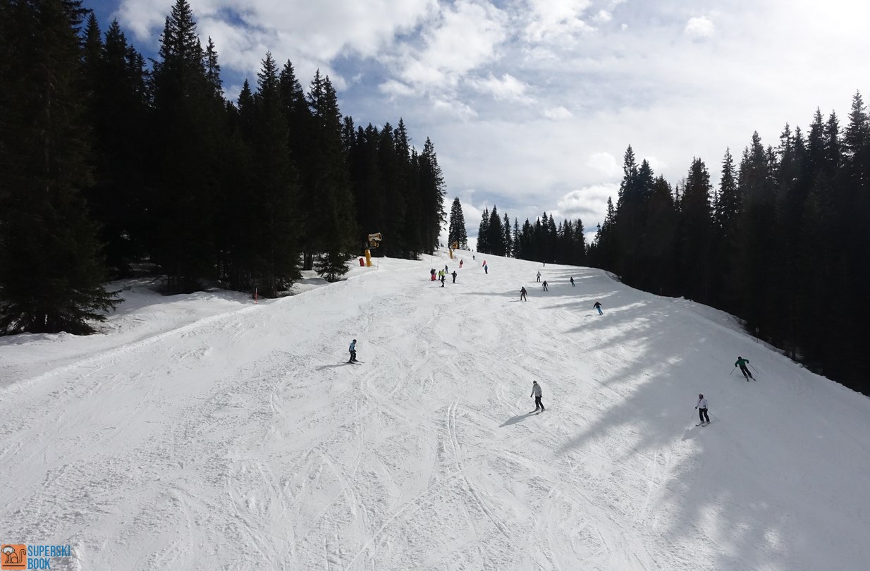 Pista La Fraina: panoramica pista rossa del Piz Sorega di San Cassiano ...